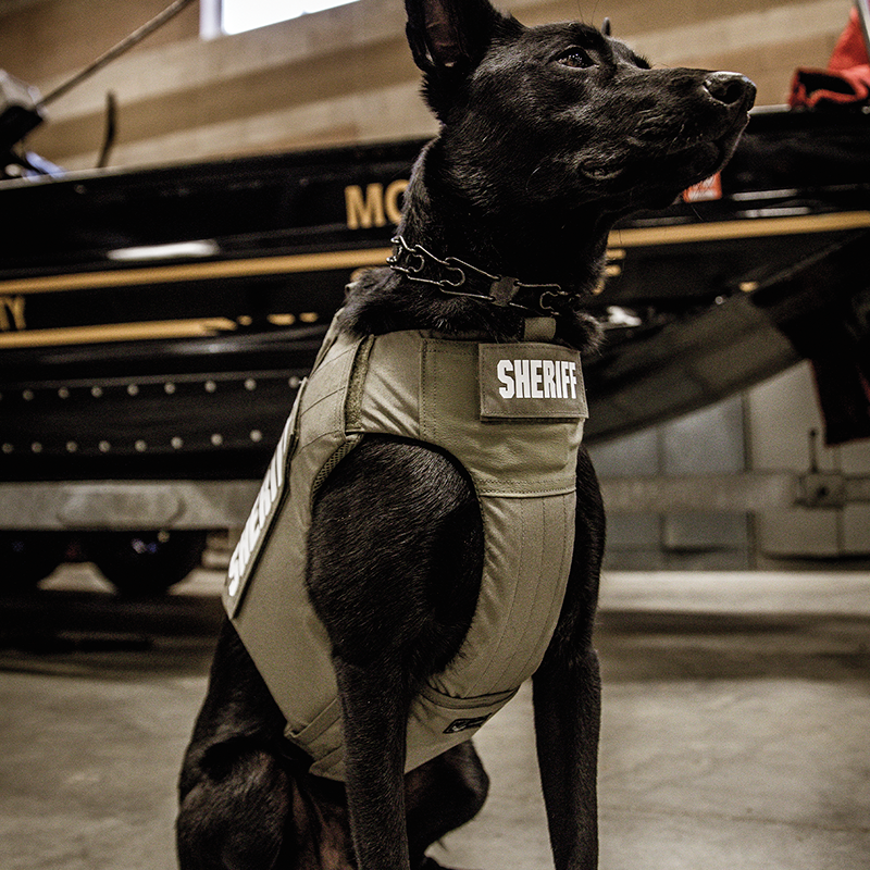 Product: ACV K-9 CARRIER SOFT BALLISTICS